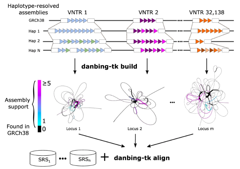 Software - Chaisson lab
